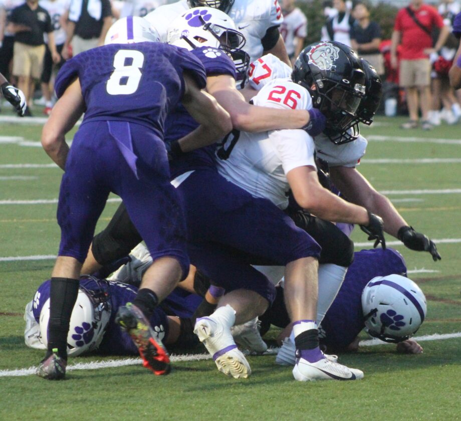 Stormy Finish: Panthers fall to Bulldogs in shortened game | News ...